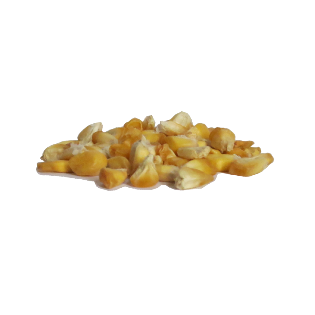 Chulpi Corn – UnicoTrade